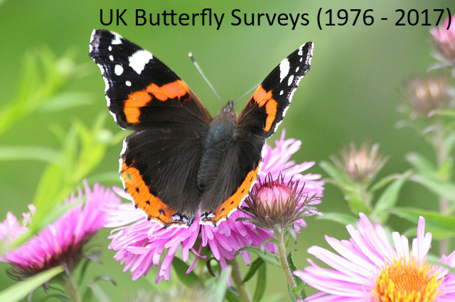 Butterflies in the wider UK Countryside: 1976 to 2017 - EMSmastery
